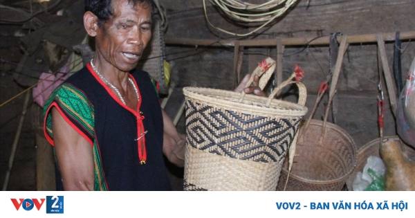 Cây đại thụ ở bon Ja Răh